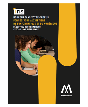 Brochure des formations de l'école IRIS Nice